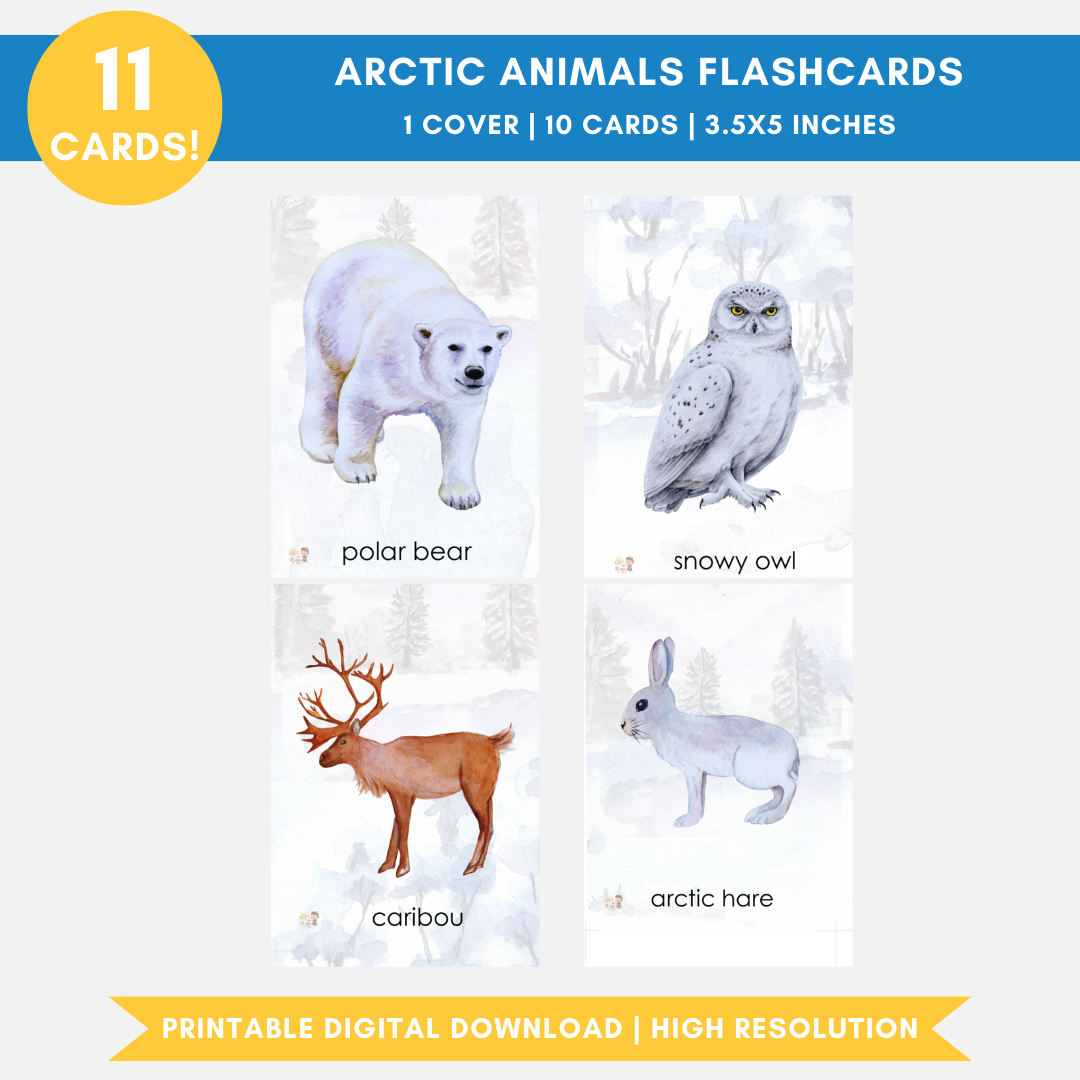 Arctic Animals Flashcards (Digital Only) – Print and Learn PH