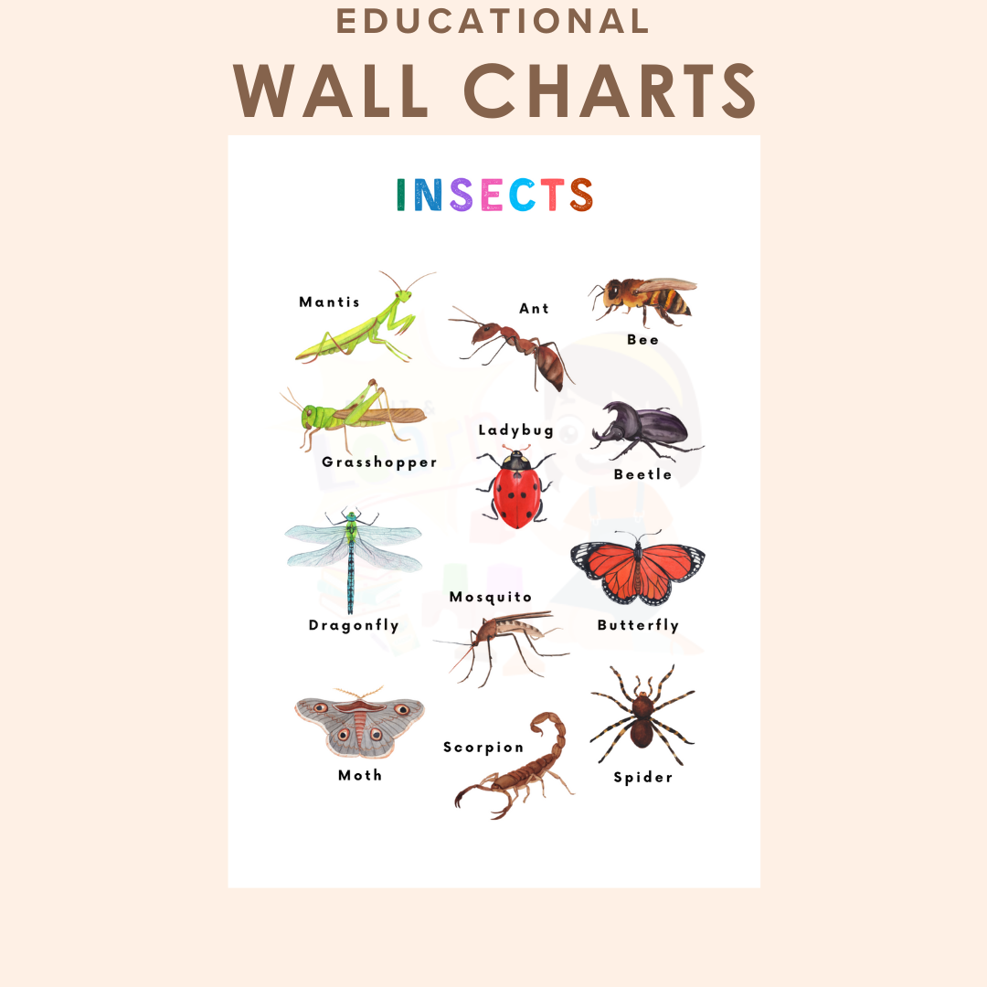 Educational Wall Charts: Insects – Print and Learn PH